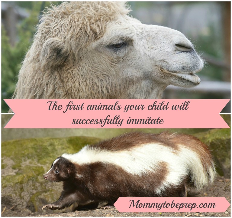Spitty & Gassy Baby | Mommy To Be Prep